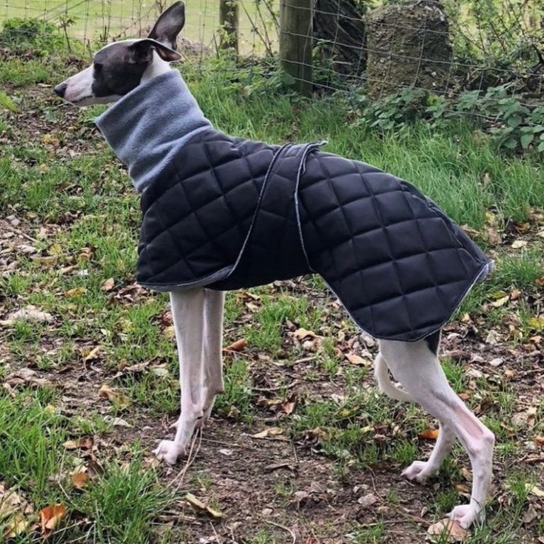 Whippet Coats, Pyjamas & Waterproofs | Handmade in Scotland